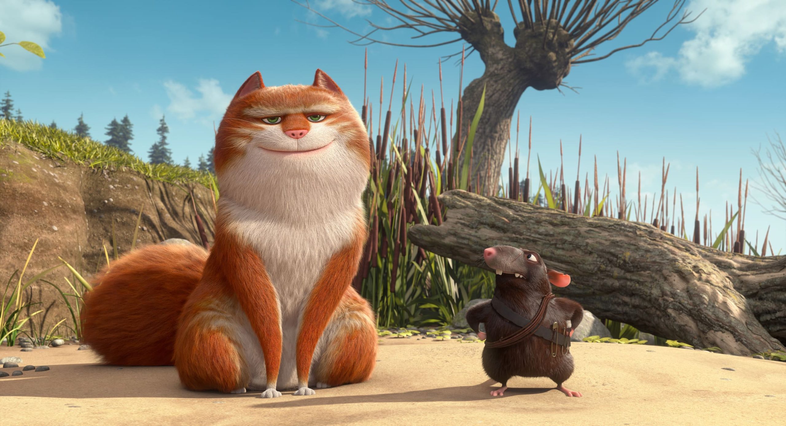 MAURICE LE CHAT FABULEUX | KMBO